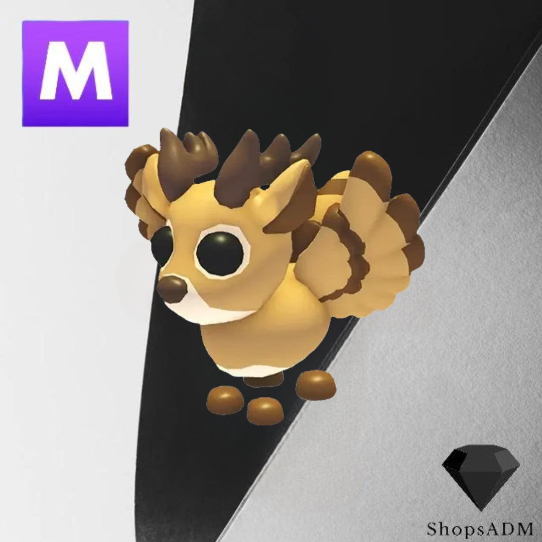 Mega Caelum Cervi – ShopsADM